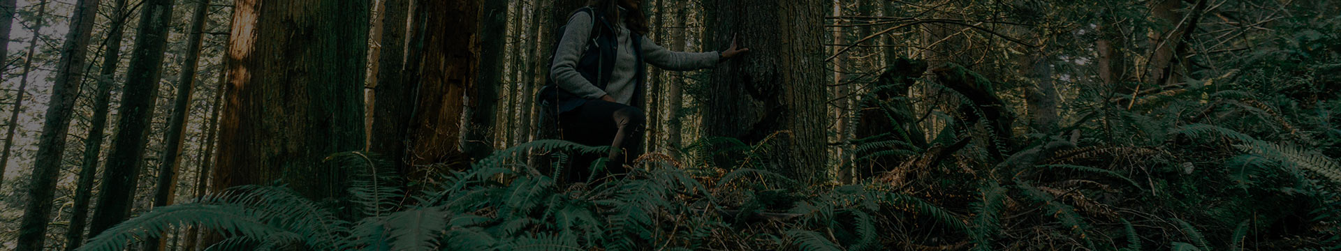 Environmental Health - Southern 7 Health Department